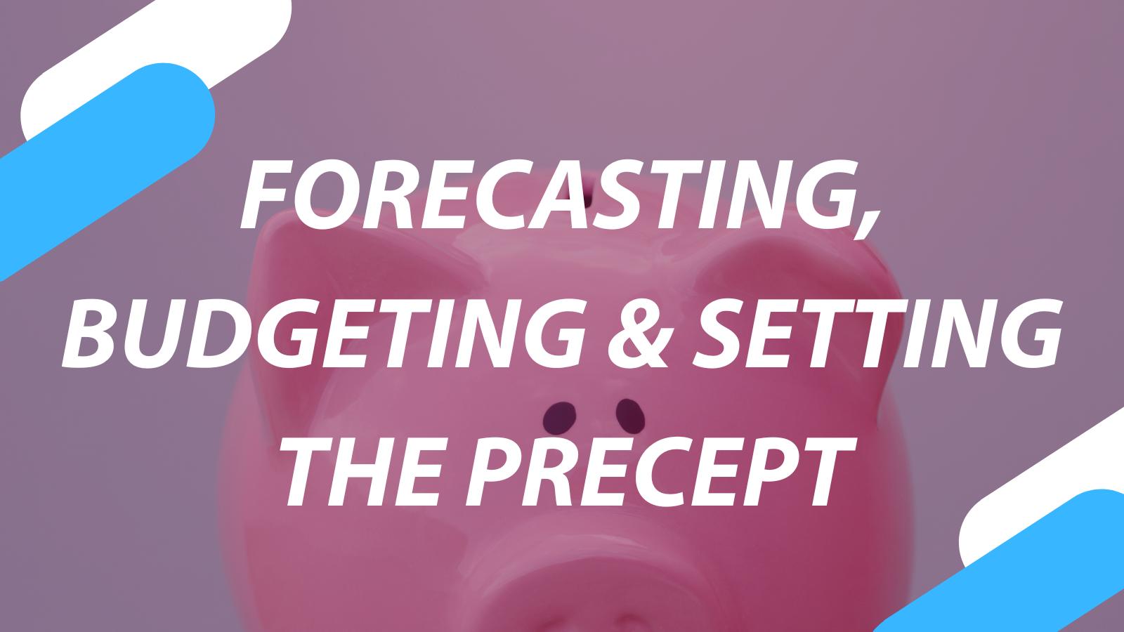 Forecasting, Budgeting & Setting the Precept: A Complete Guide for Town & Parish Councils